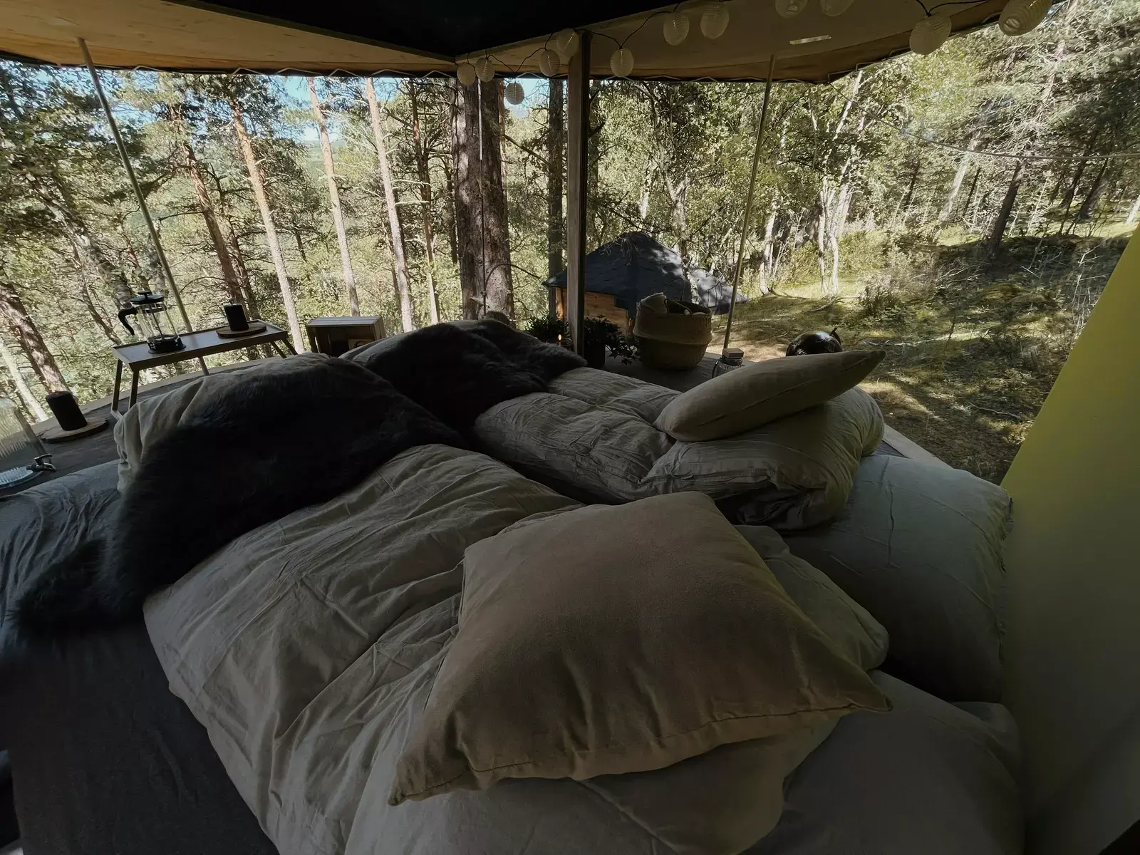 Trætop overnatning I 8 mindeværdige trætophytter i Skandinavien!